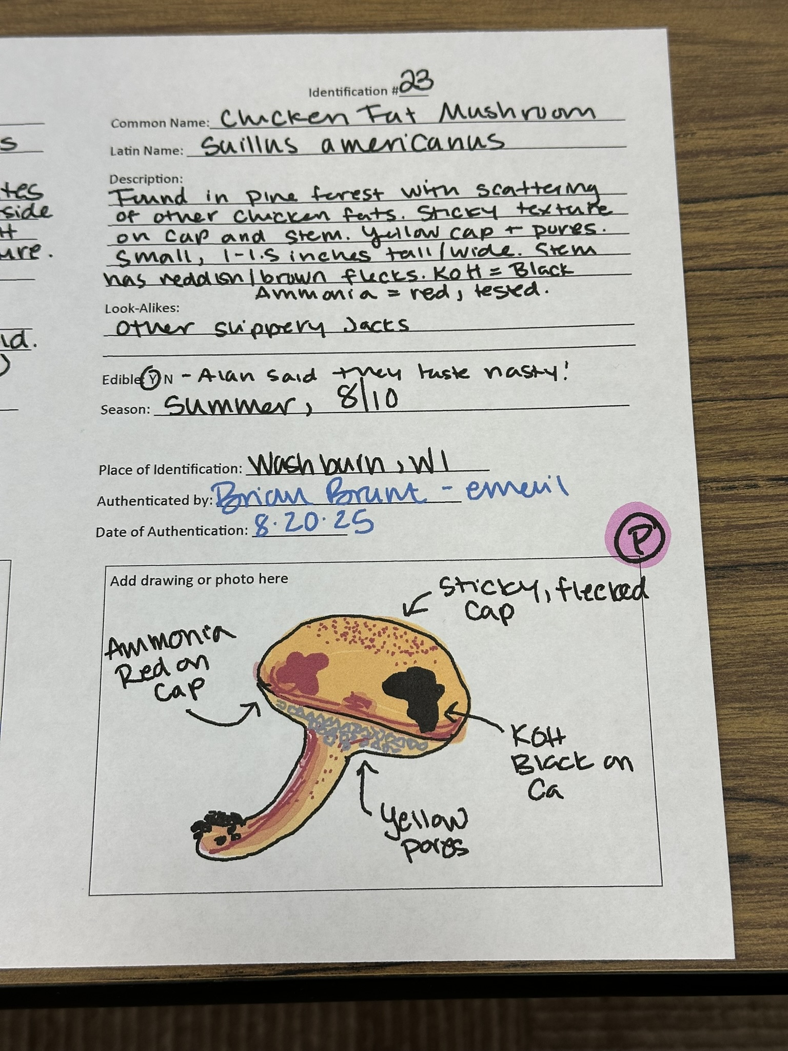 Being in the MMS Passport Program - Minnesota Mycological Society